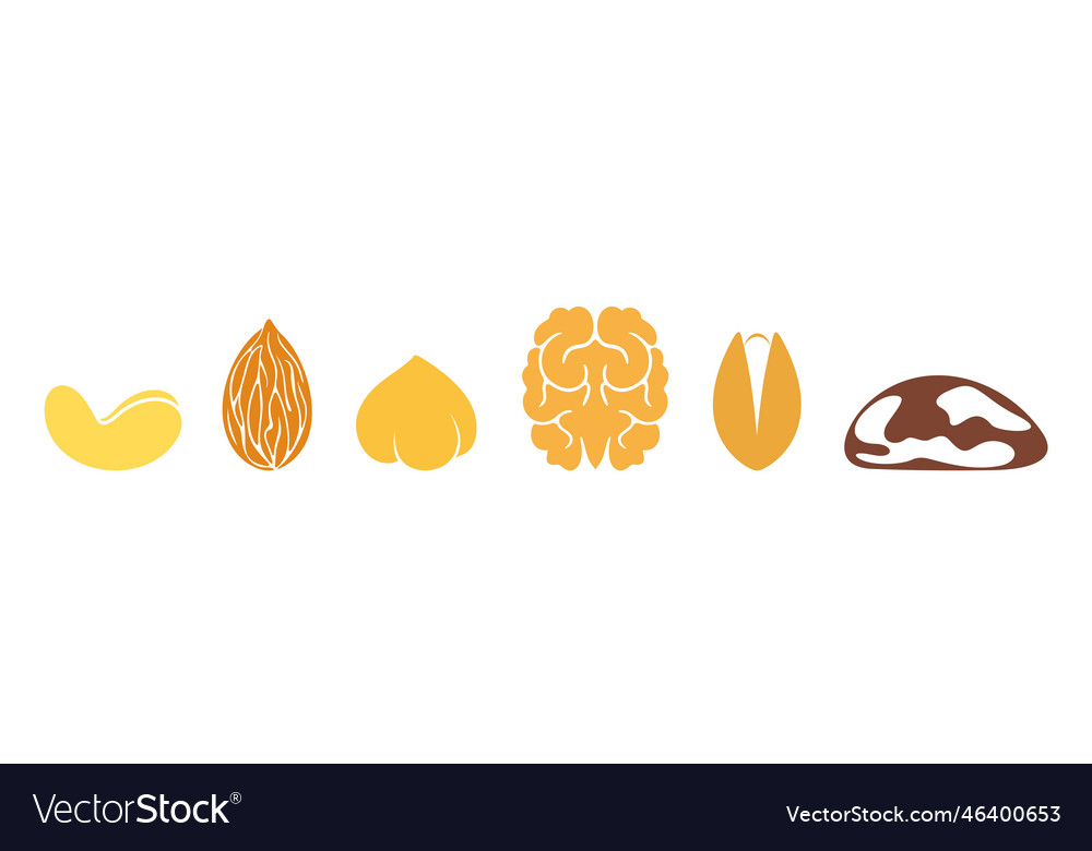 Nut Royalty Free Vector Image - VectorStock
