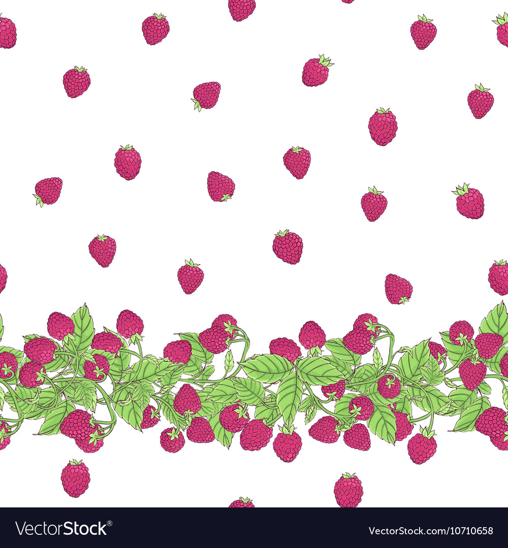 Pattern raspberry border Royalty Free Vector Image