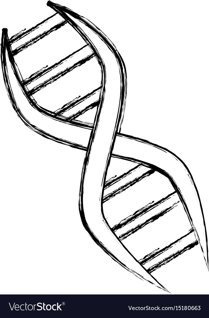 Genetic code Royalty Free Vector Image - VectorStock