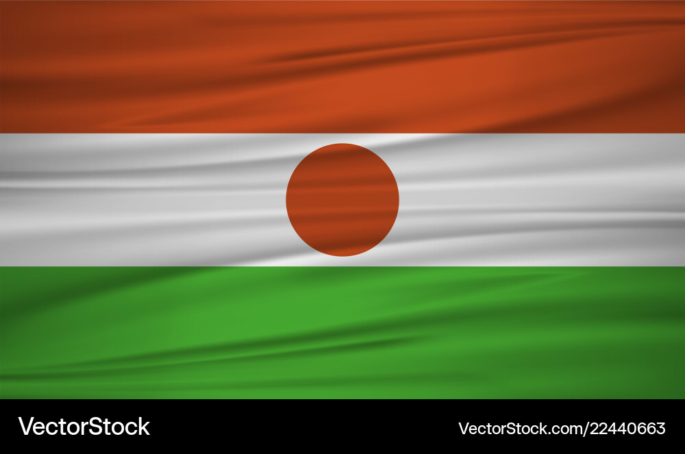 Niger flag flag niger blowig in wind eps Vector Image