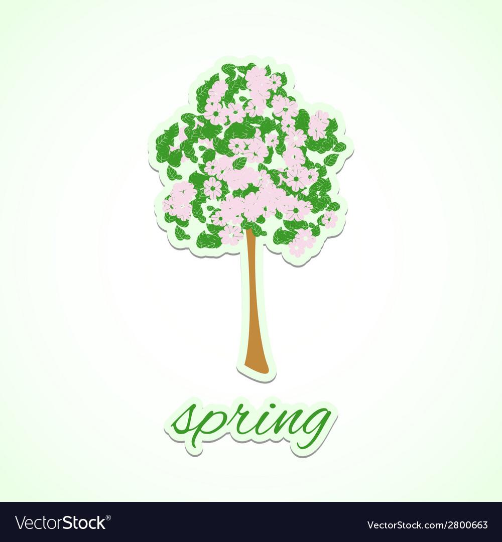 Spring tree Royalty Free Vector Image - VectorStock