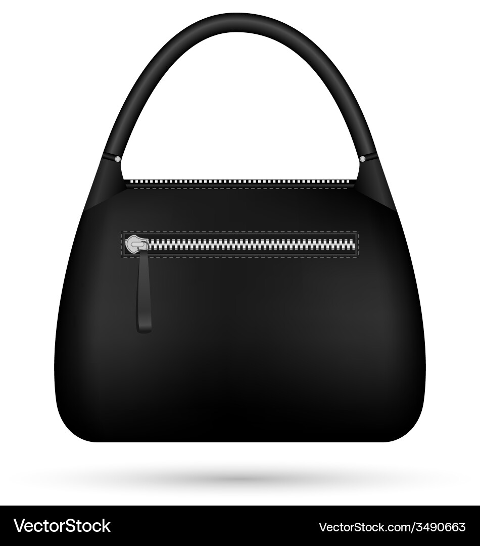 Woman bag isolated on white Royalty Free Vector Image