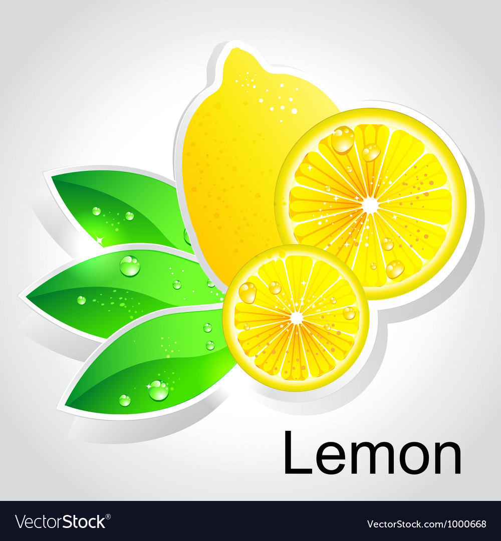 Lemon Royalty Free Vector Image - VectorStock