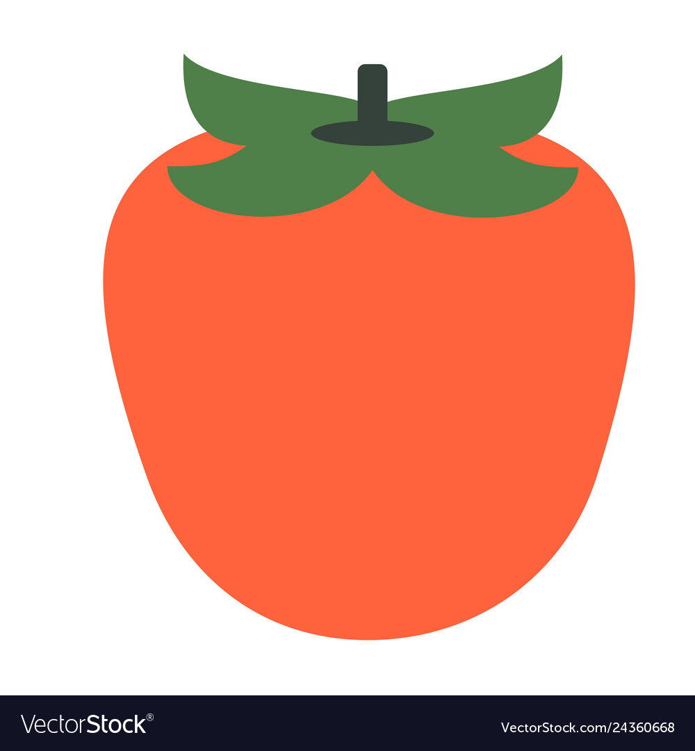 Persimmon flat simple Royalty Free Vector Image
