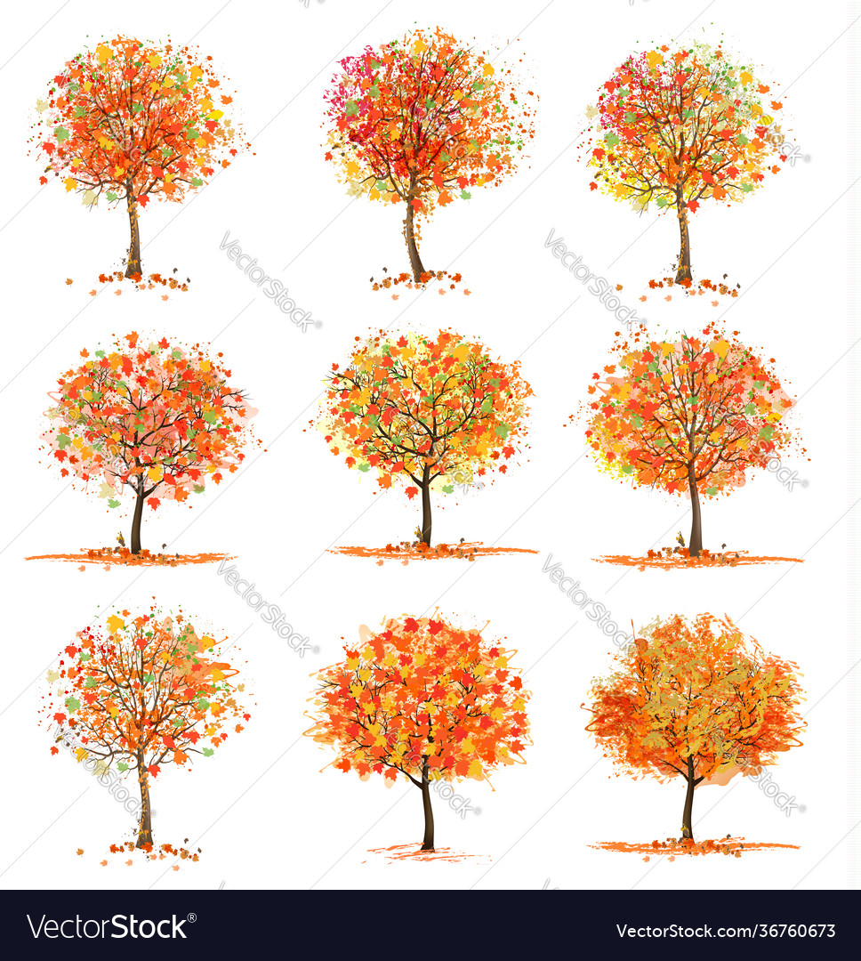 Big set autumn inspired trees with colorful Vector Image
