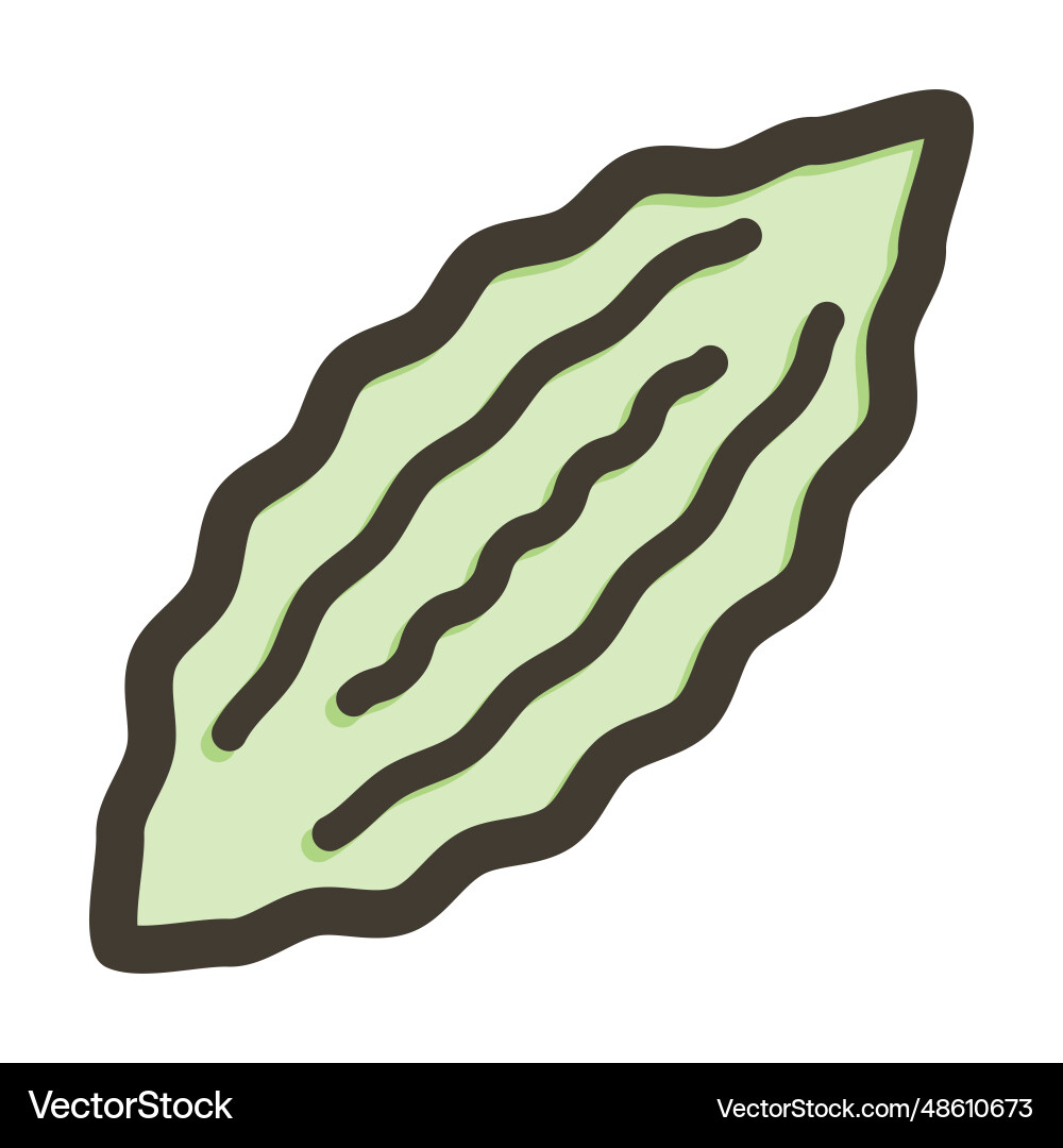 Bitter gourd thick line filled colors for Vector Image