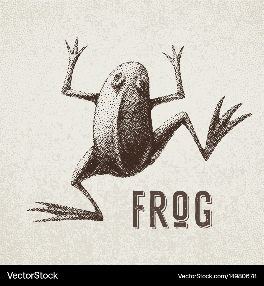 Frog painted in engraving style eps8 rgb Vector Image