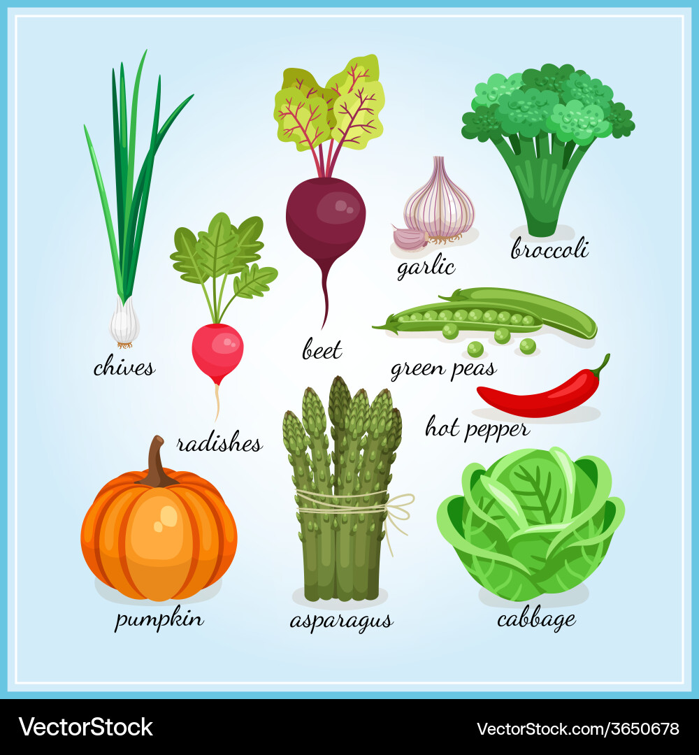Healthy fresh vegetables icons Royalty Free Vector Image