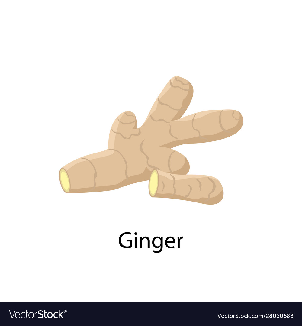 Ginger Root Tattoos