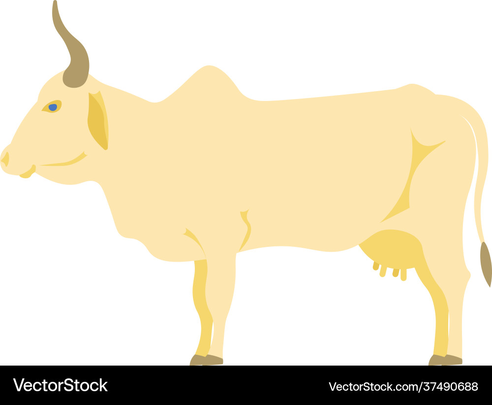 Indian cow isolated on a white background Vector Image