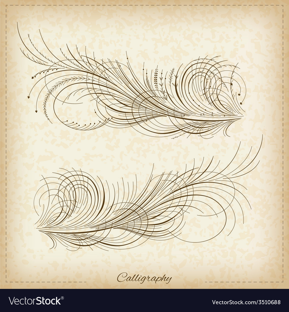 Set calligraphy elements Royalty Free Vector Image