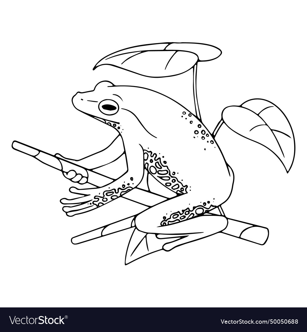 Strawberry poison dart frog venomous rainforest Vector Image Strawberry poison dart frog venomous rainforest Vector Image