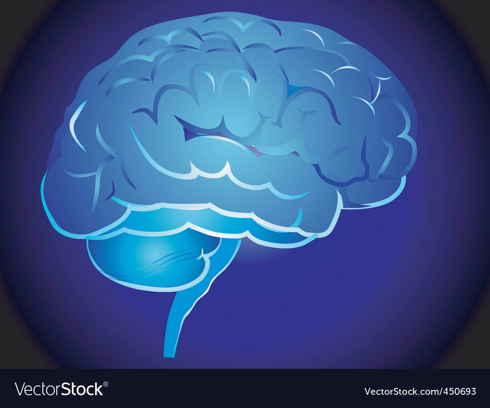 Brain Royalty Free Vector Image - VectorStock
