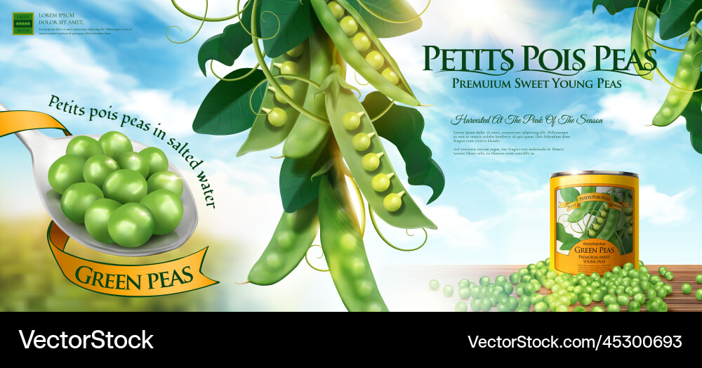 Canned young pea ads banner Royalty Free Vector Image
