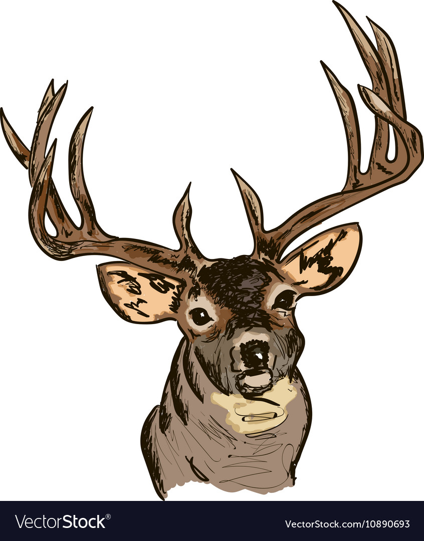 Deer Royalty Free Vector Image - VectorStock