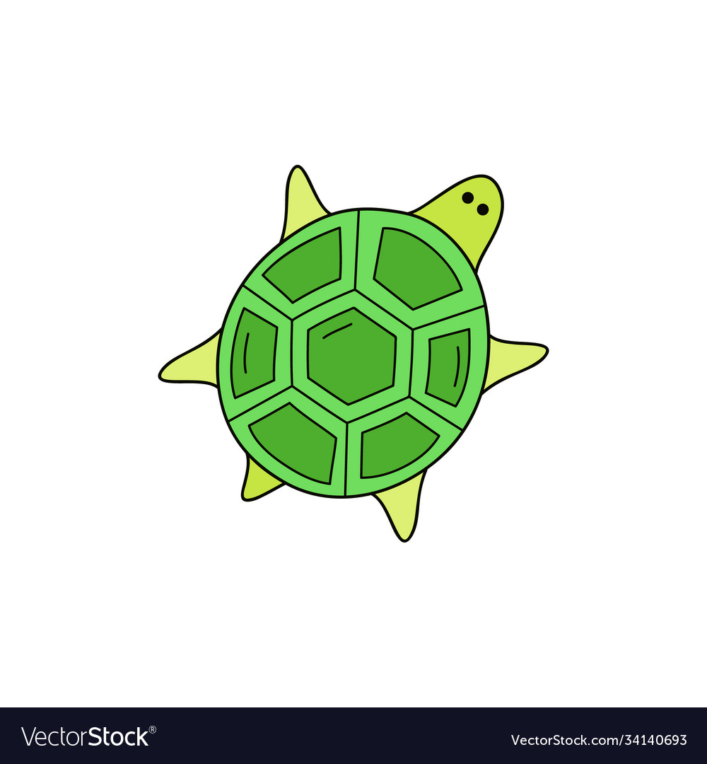 Turtle cute Royalty Free Vector Image - VectorStock