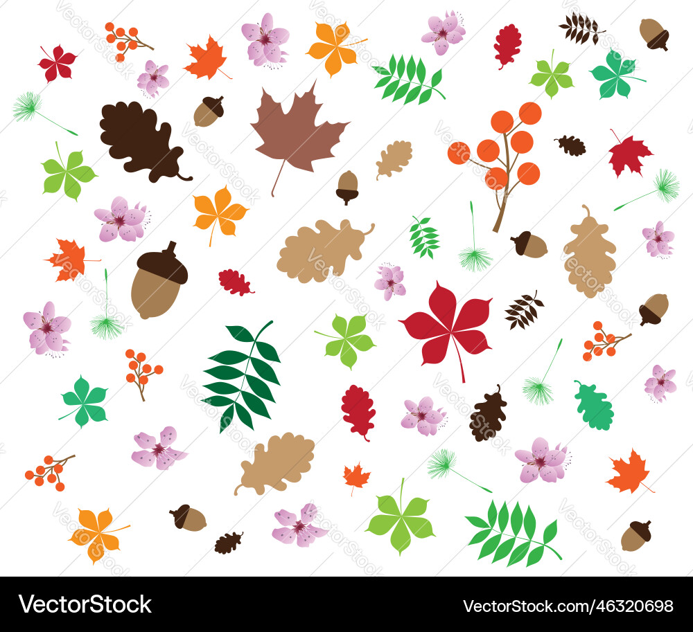 Beautiful colorful leaves and flowers pattern Vector Image