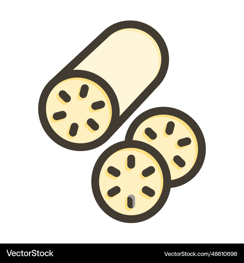 Lotus root thick line filled colors for personal Vector Image