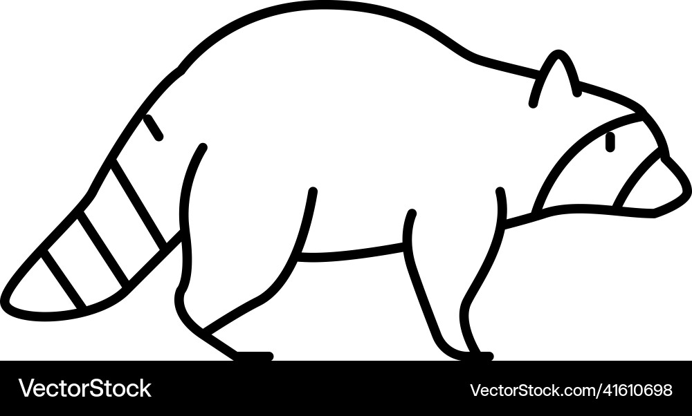 Raccoon wild animal line icon Royalty Free Vector Image
