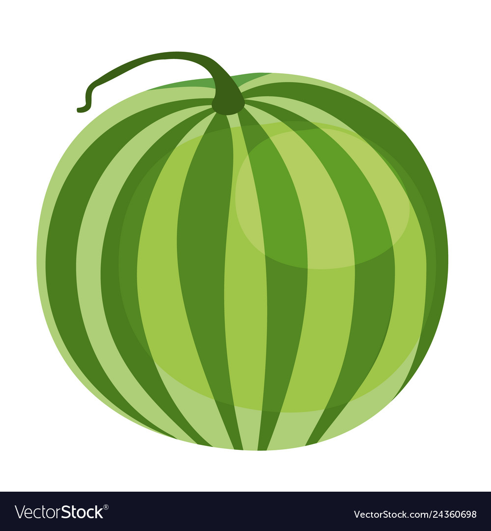 Watermelon flat simple Royalty Free Vector Image
