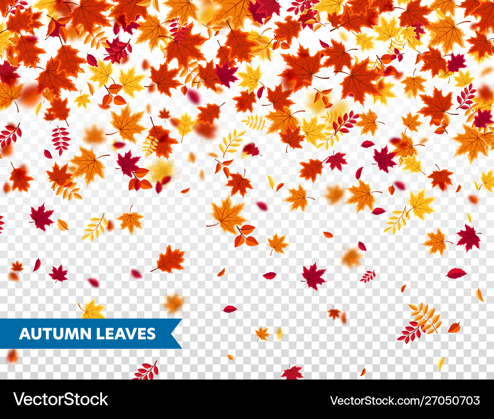Autumn falling leaves nature background with red Vector Image
