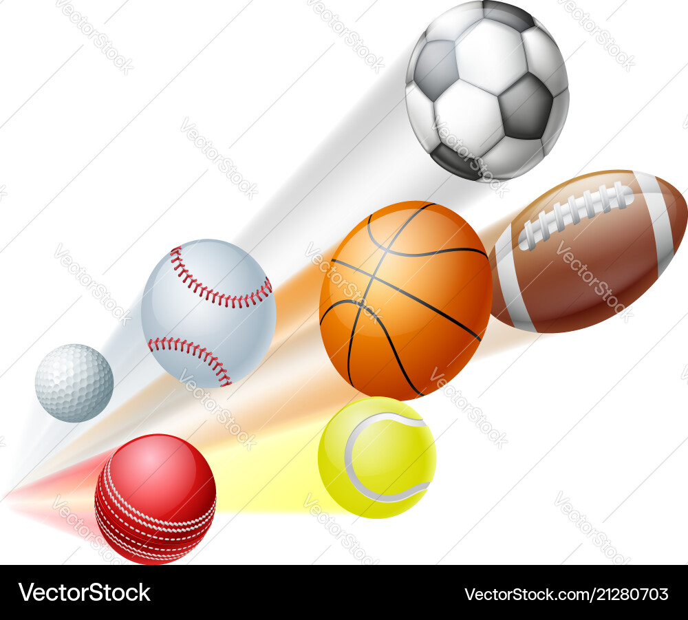Sports balls concept Royalty Free Vector Image