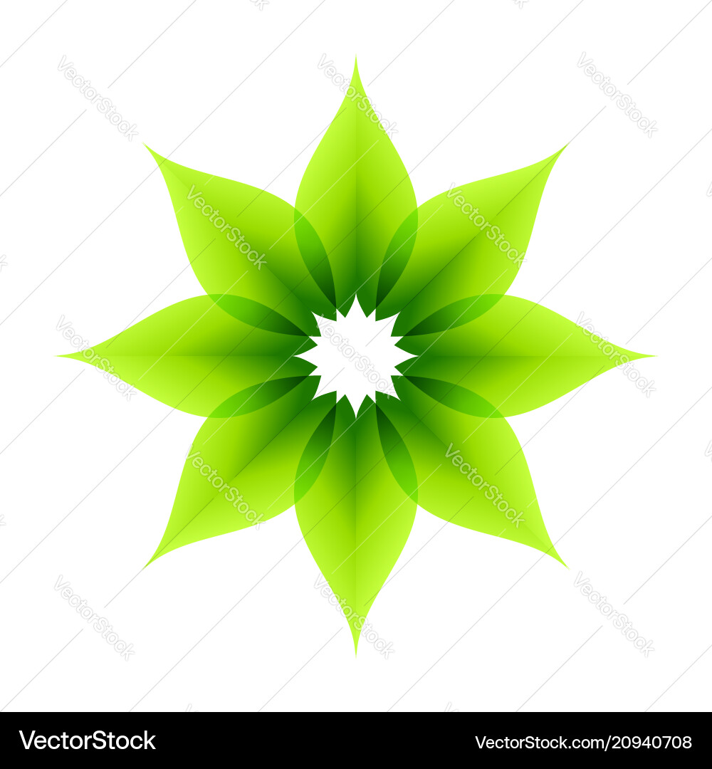 Beautiful geometric flower shape symbol logo Vector Image