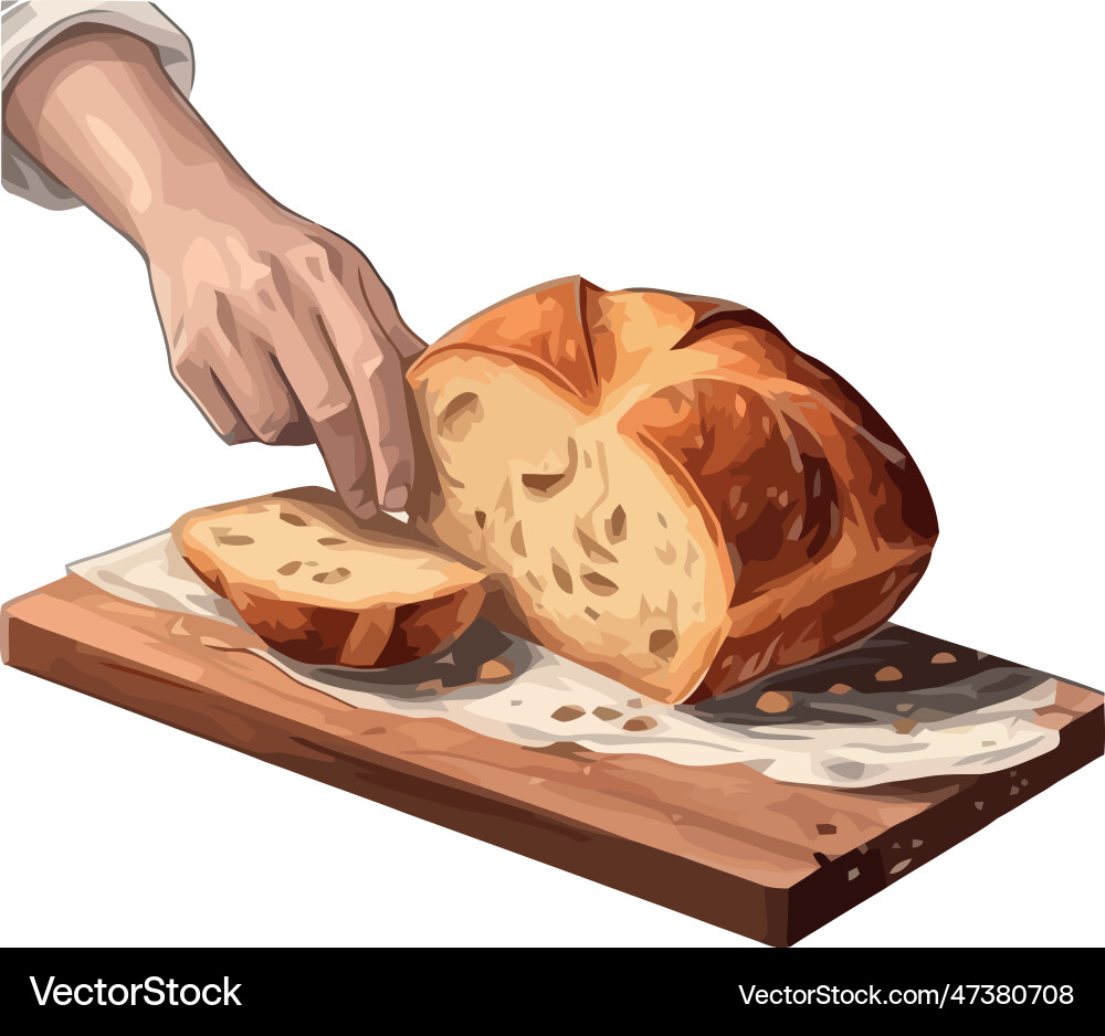 Handmade bread baked with organic wheat flour Vector Image