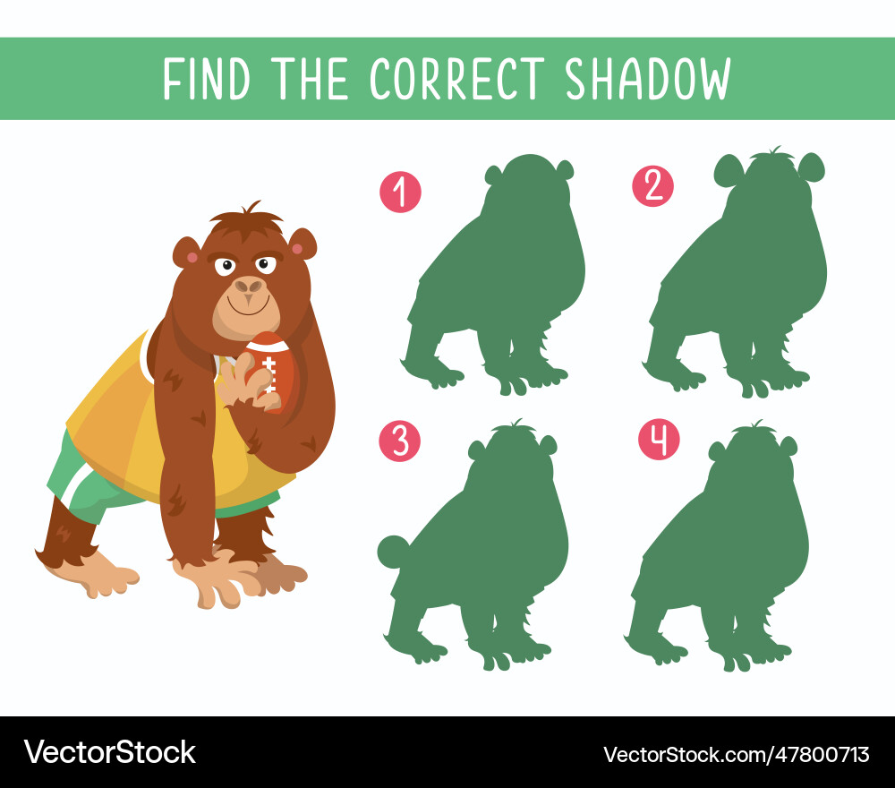 Find correct shadow puzzle game for children Vector Image