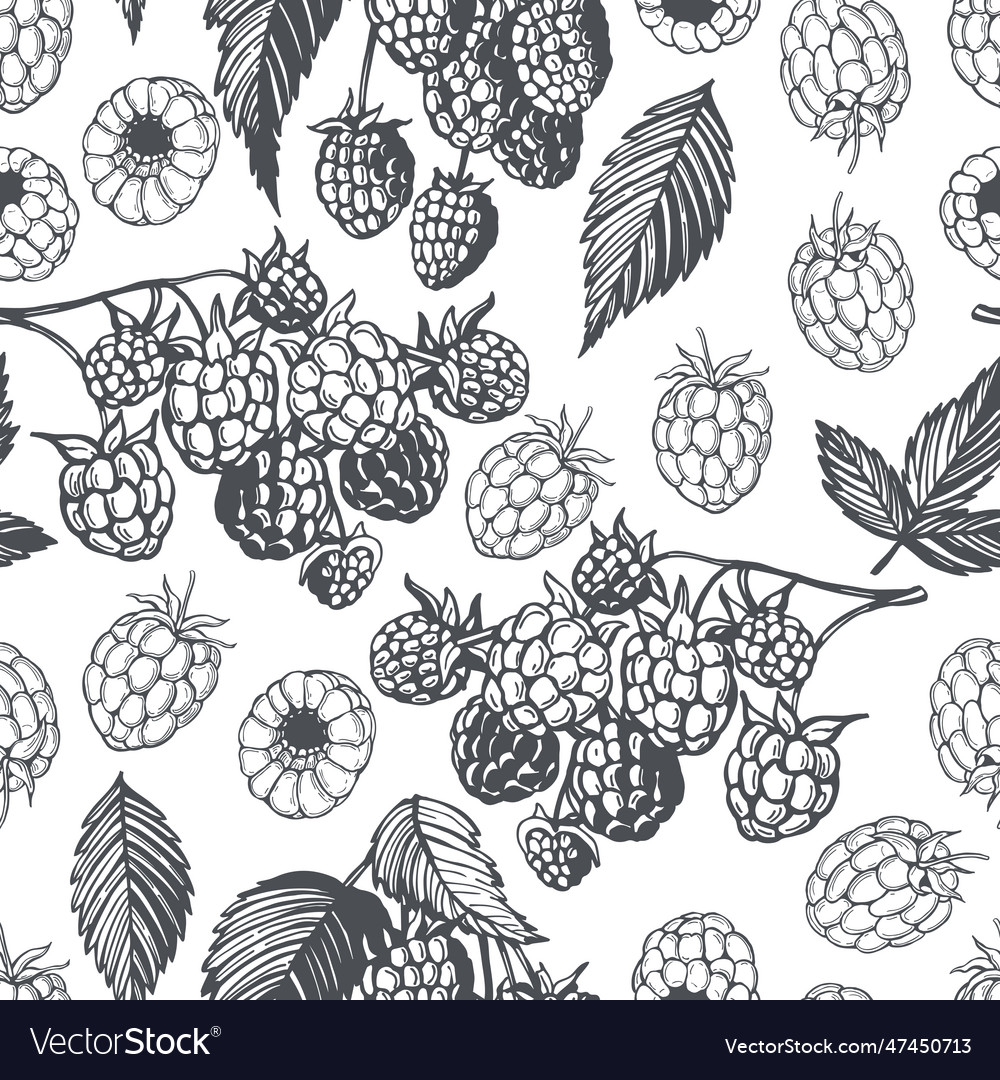 Hand-drawn raspberry pattern Royalty Free Vector Image