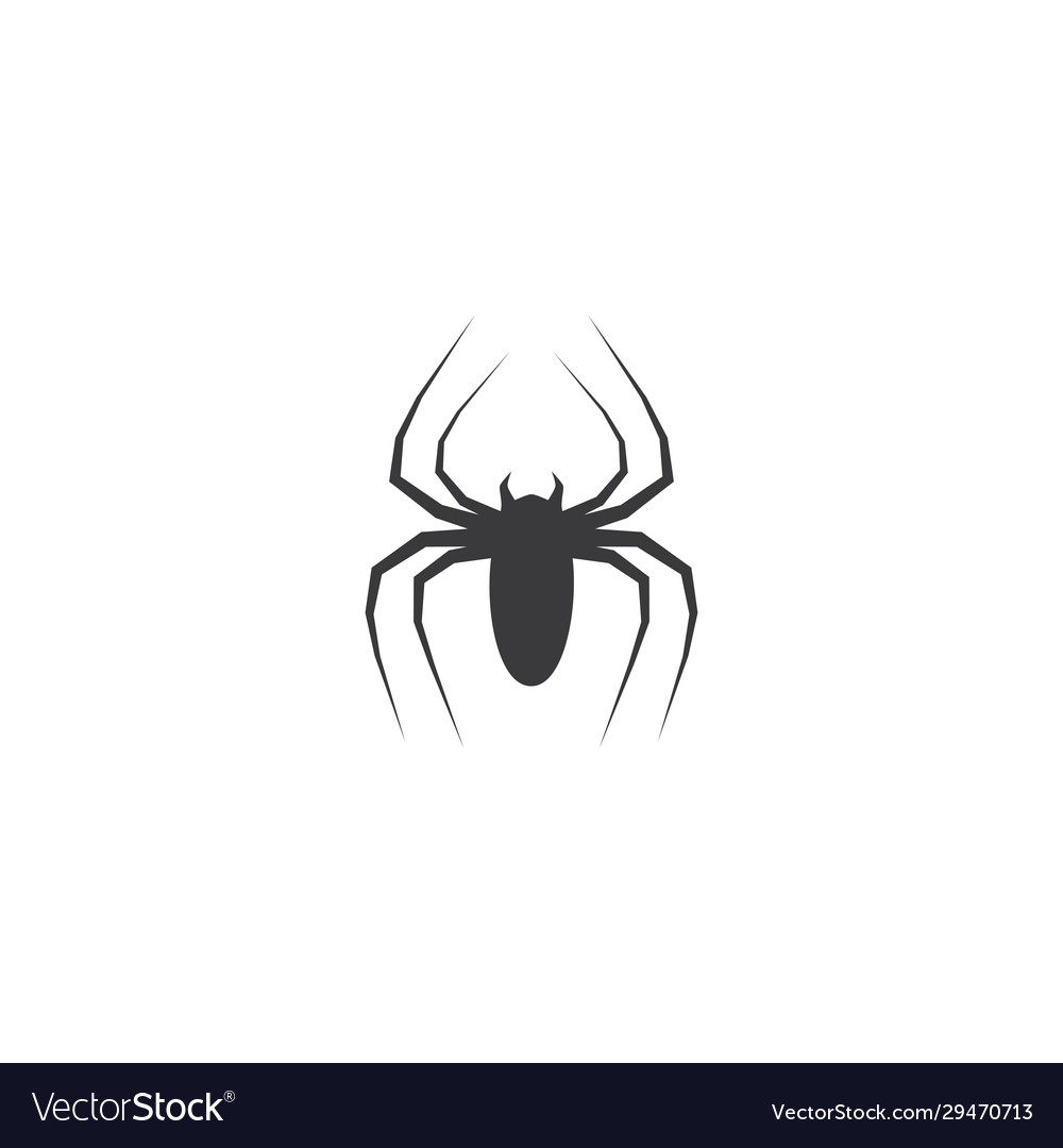 Spider logo Royalty Free Vector Image - VectorStock
