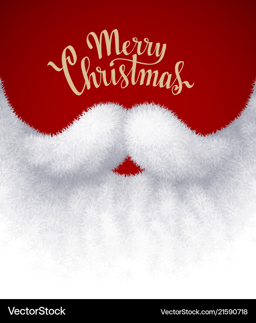 Closeup white santa beard with merry christmas Vector Image