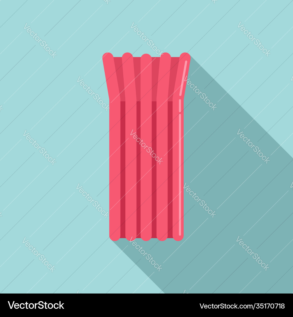 Holiday inflatable mattress icon flat style Vector Image