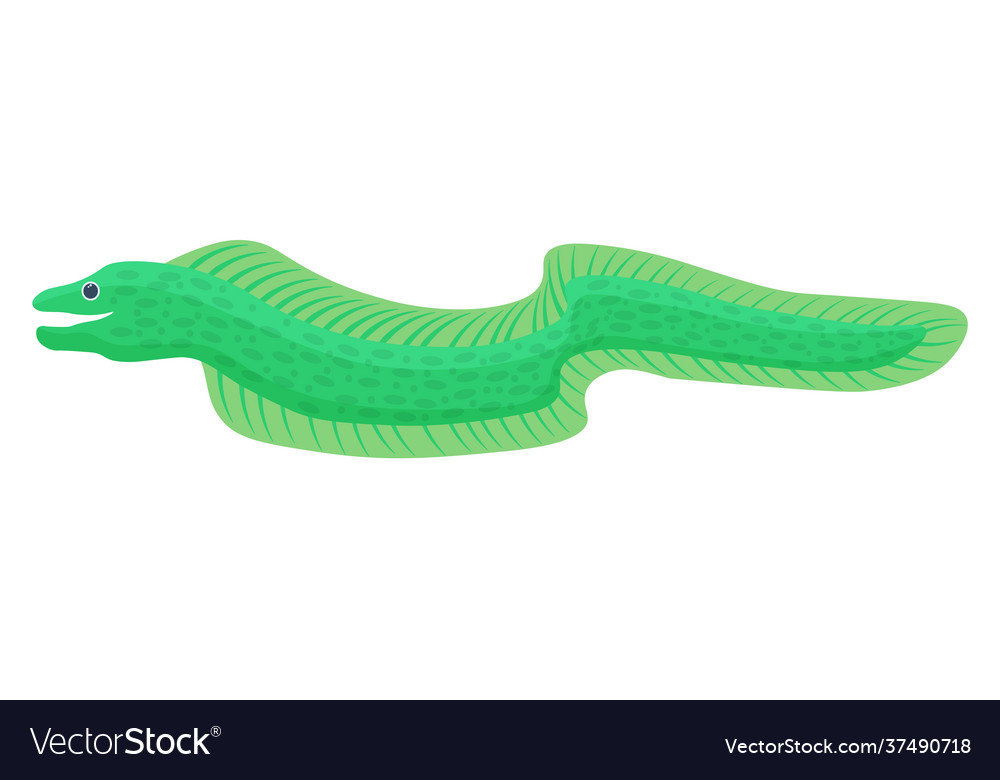 Moray fish Royalty Free Vector Image - VectorStock