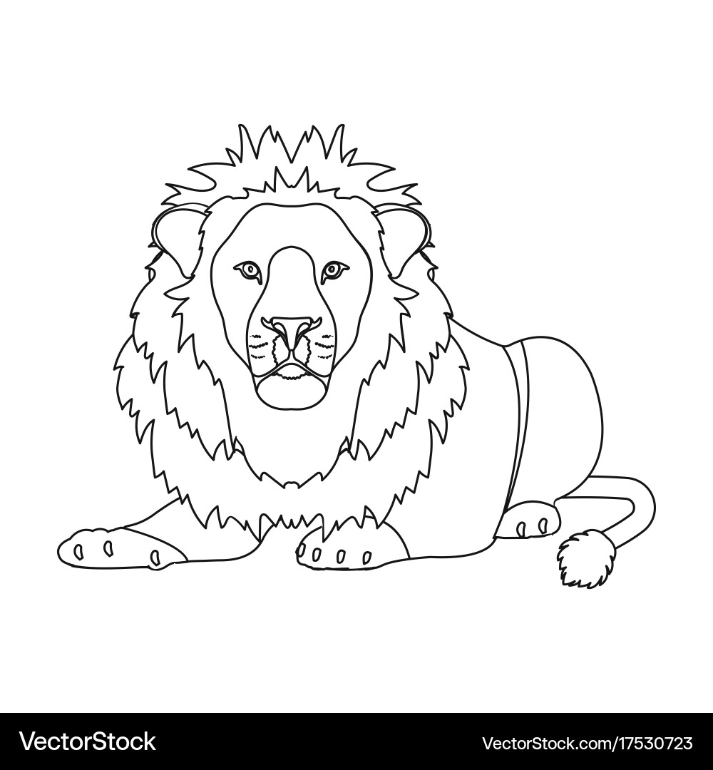 A lion wild and ferocious predator leo Royalty Free Vector