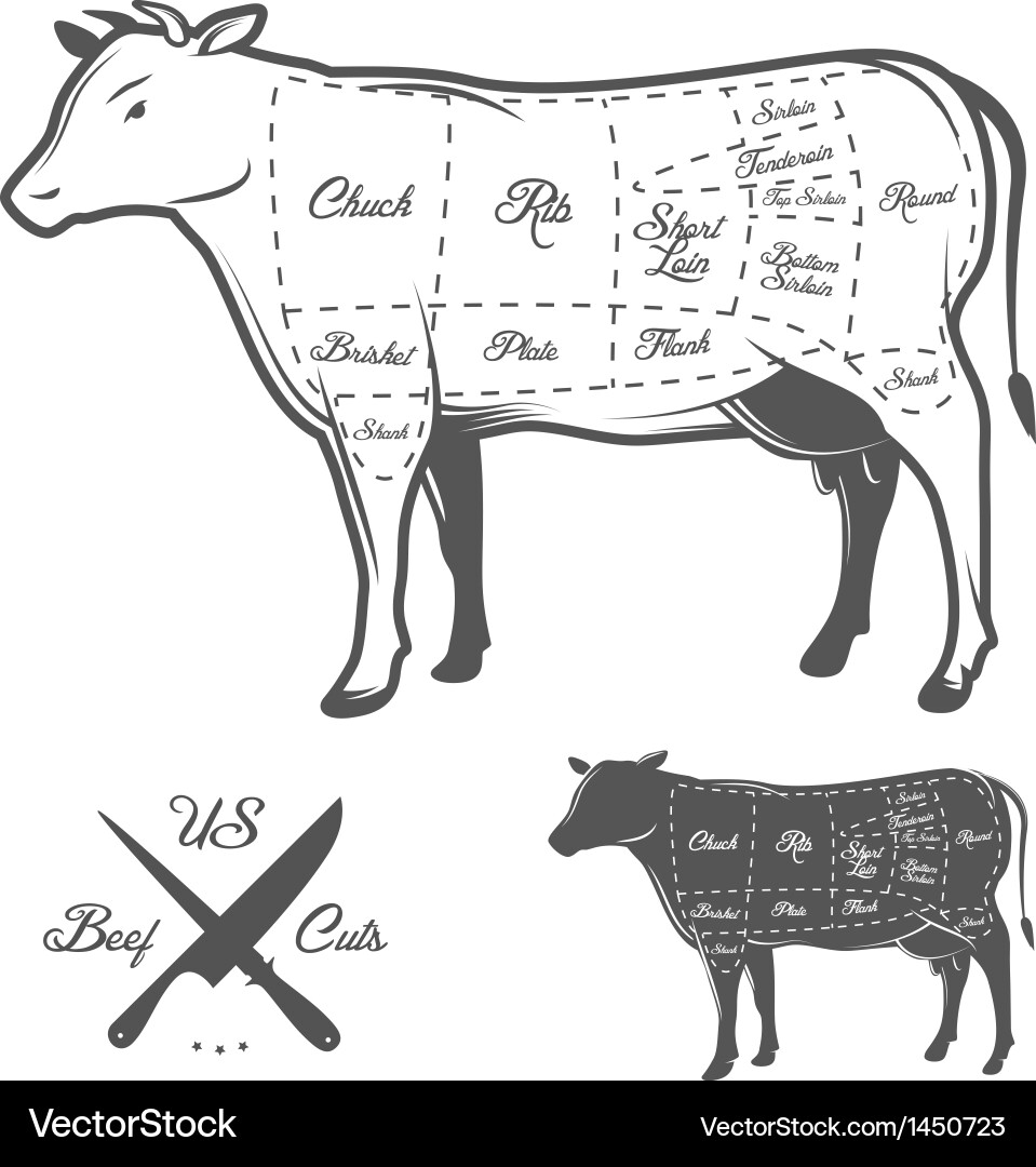 American cuts of beef Royalty Free Vector Image