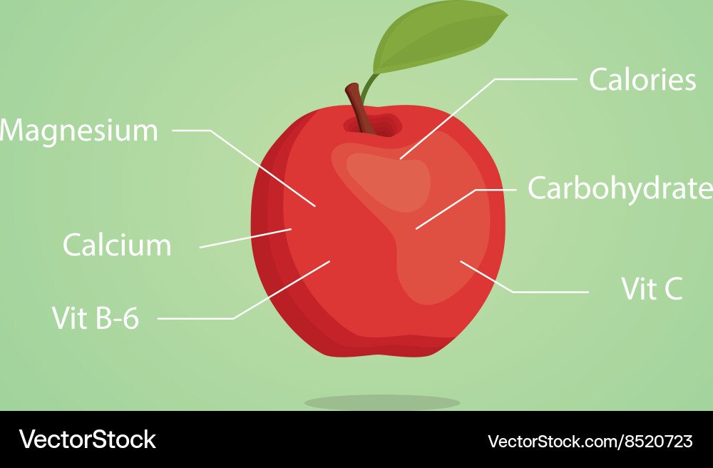 Apple nutrition with list Royalty Free Vector Image