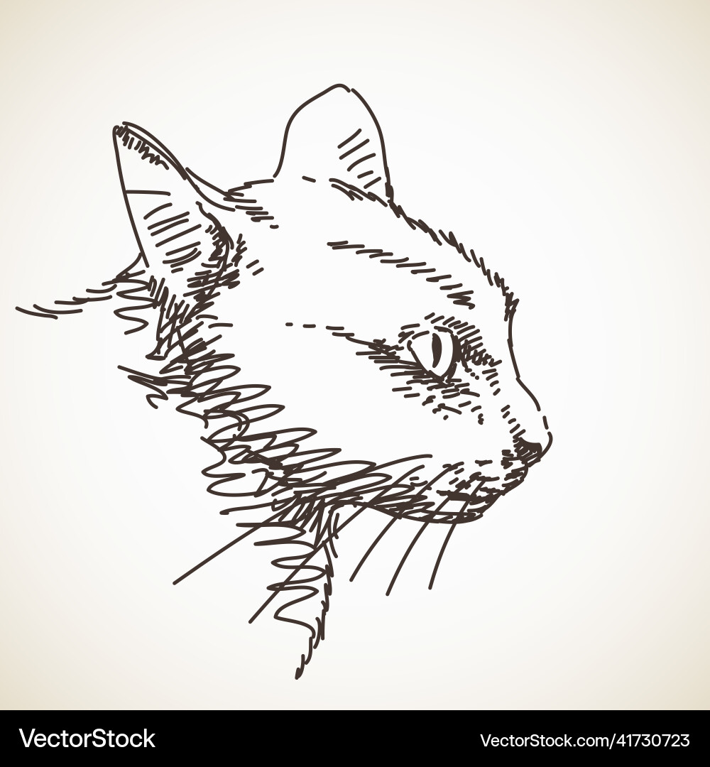 Sketch of cat hand drawn Royalty Free Vector Image