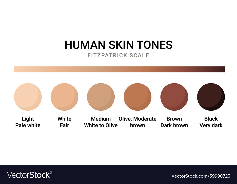 Skin Tone Color Scale Chart Brown Palette Vector Image