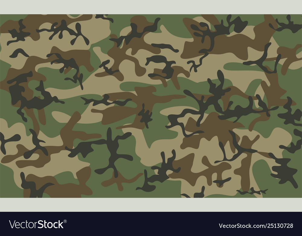 Camouflage pattern background Royalty Free Vector Image