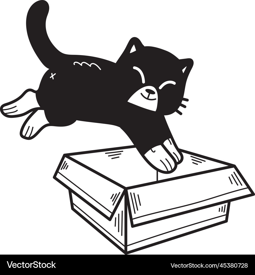 Hand drawn kitten jumped into the box in doodle Vector Image