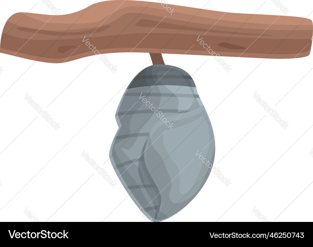 Life cocoon icon cartoon nature leaf Royalty Free Vector