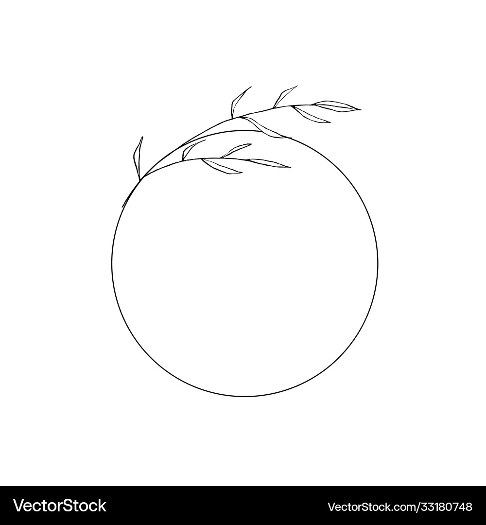 Botanical simple contour design template floral Vector Image