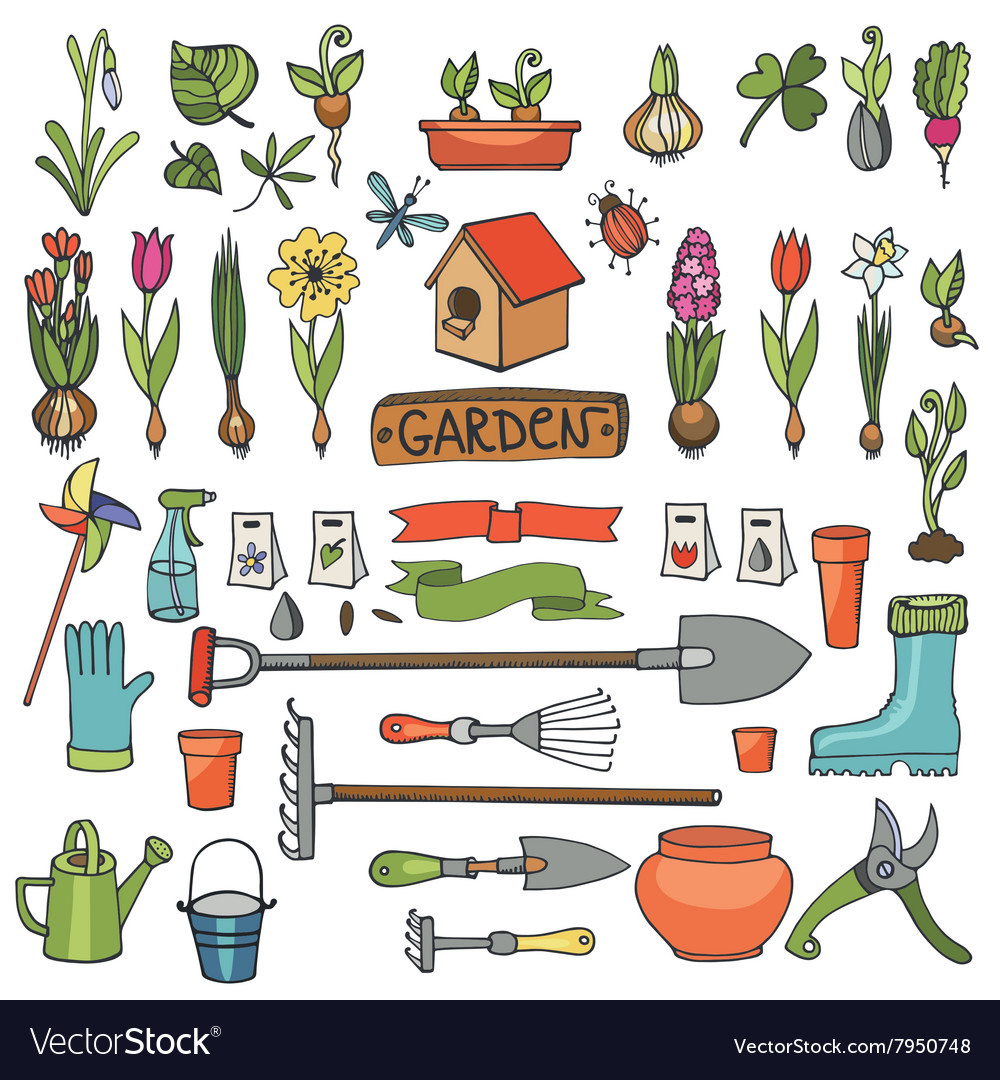 Spring garden doodlesColored flowersbulbsplants Vector Image
