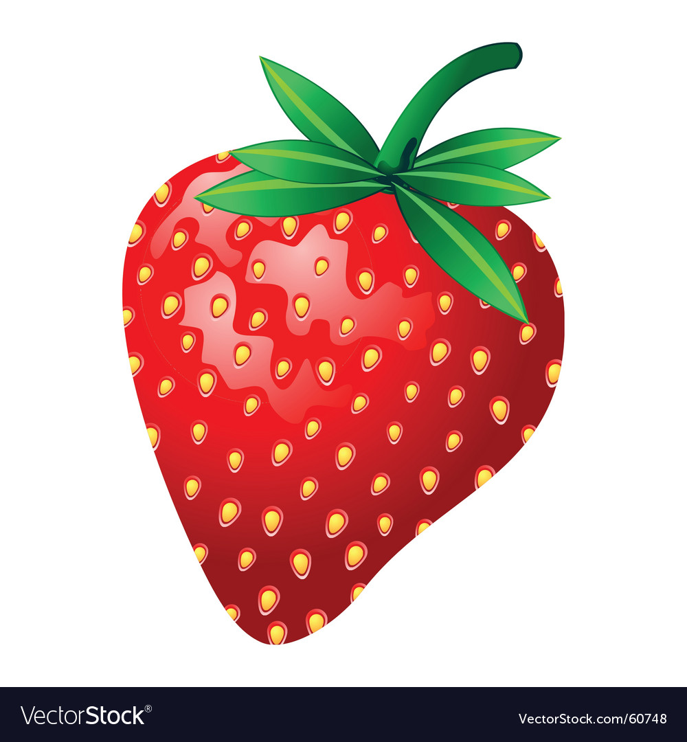 Strawberry Royalty Free Vector Image - VectorStock