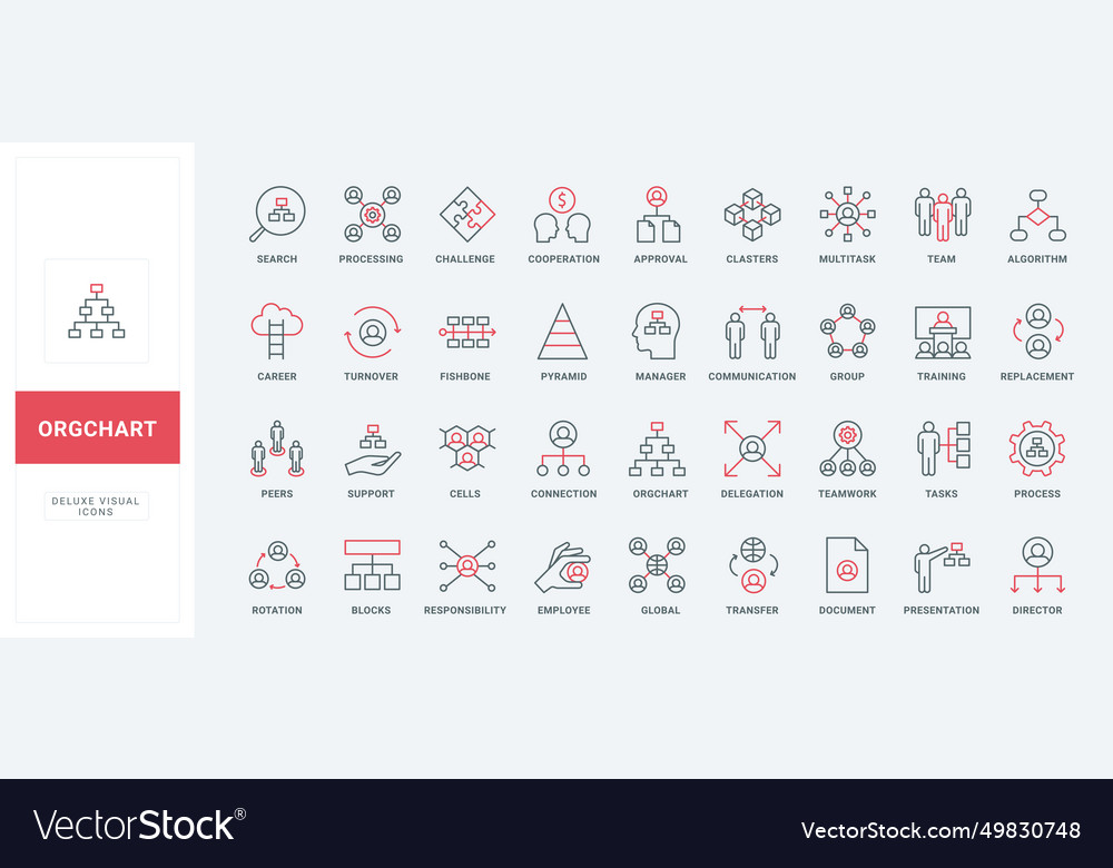 Structure and hierarchy of corporate company org Vector Image