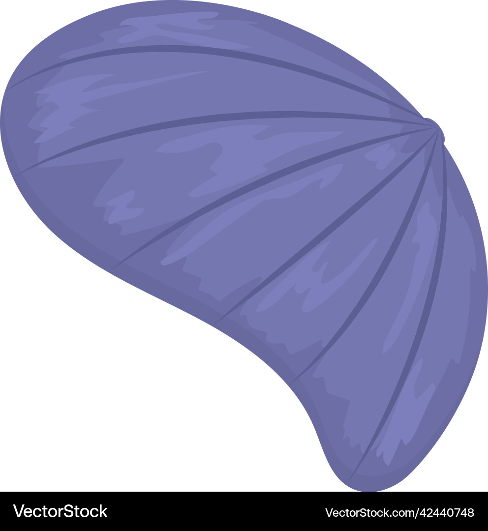 Sunray shell icon Royalty Free Vector Image - VectorStock