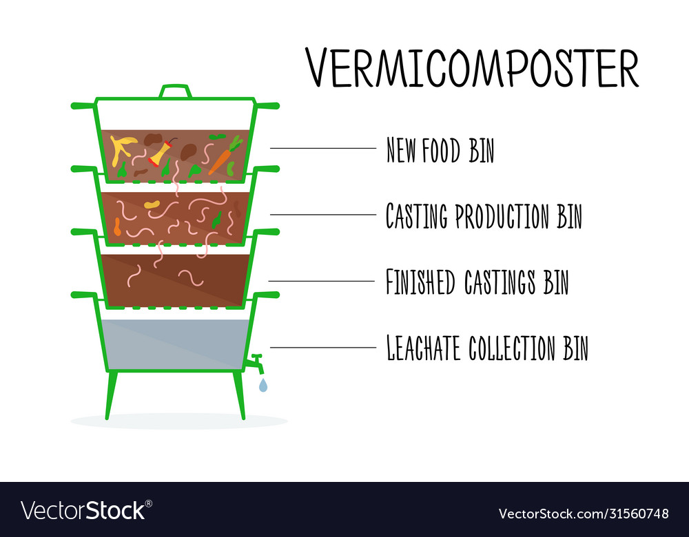 Vermicomposter structure Royalty Free Vector Image