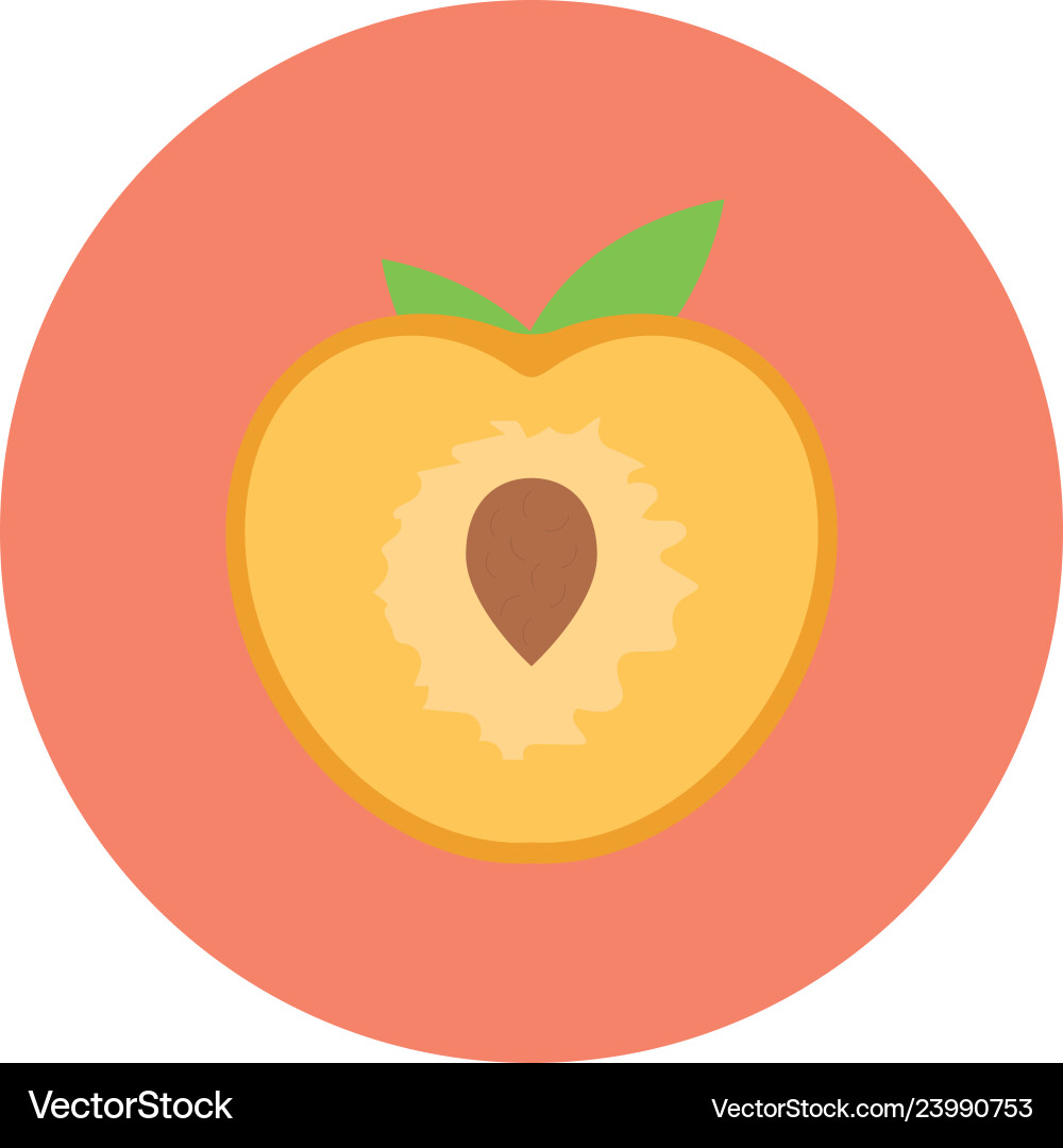 Apricot food icon editable Royalty Free Vector Image