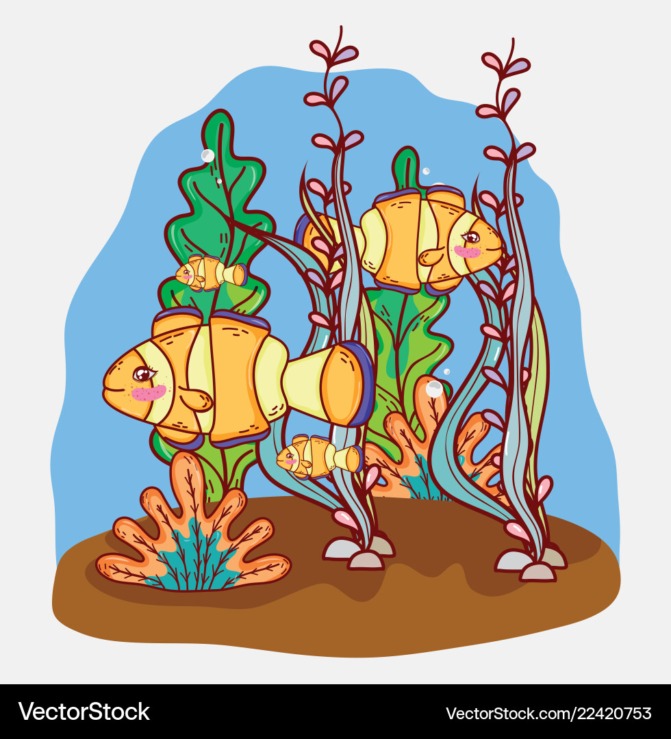 Aquatic marine life Royalty Free Vector Image - VectorStock